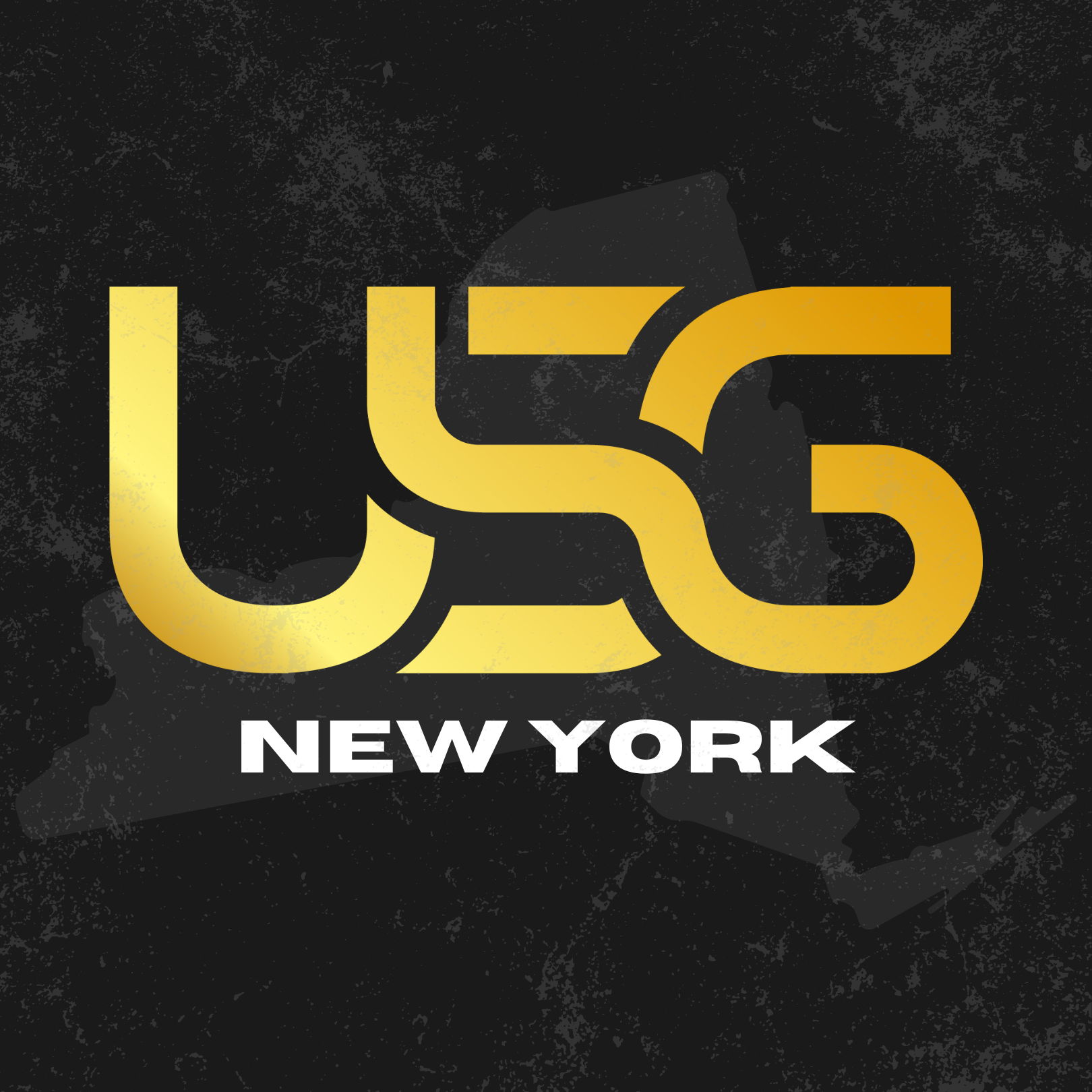Unleashed Sports Group Organization Perfect Game Baseball Association